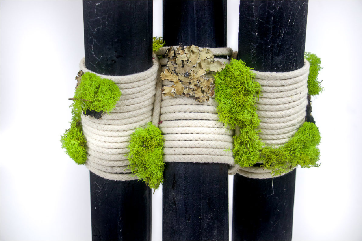 BioKnotic — lisa marks