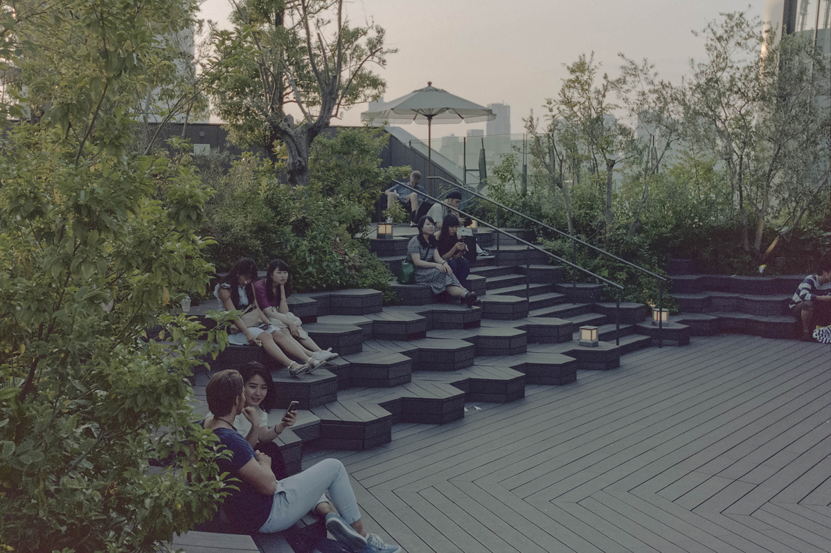 Omohara Forest | Tokyu Plaza Omotesando — WHEN IN TOKYO | Tokyo's Art ...