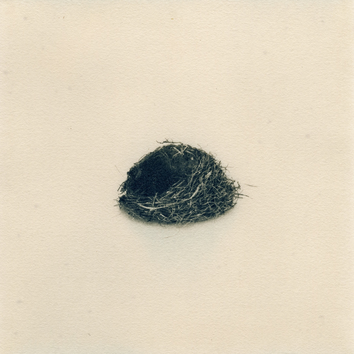 Sol Sort — Charlie Pott Photography