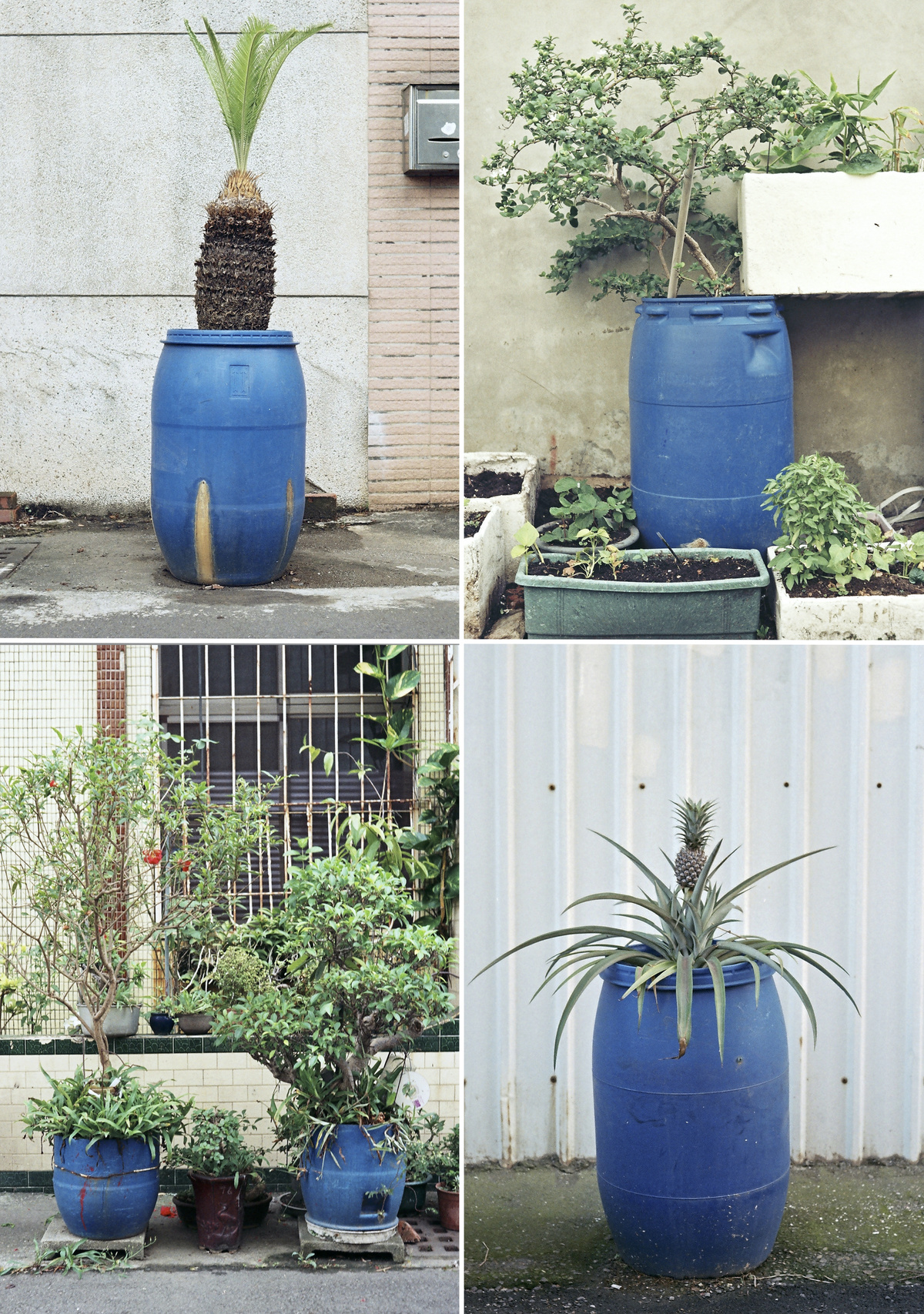 2023/ WU Chuan-Lun — Fondation MRO