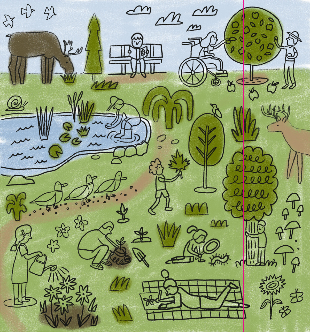 canadian wildlife magazine — Alysha Dawn