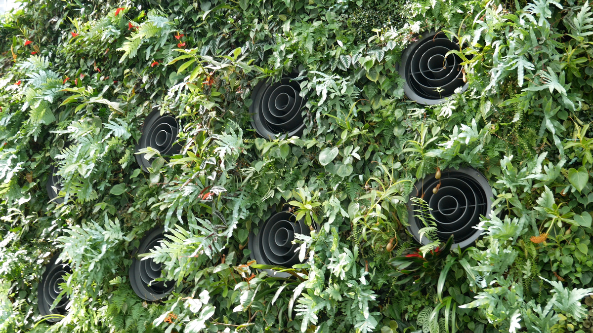 Breathing Exercise — Emily Shanahan Portfolio