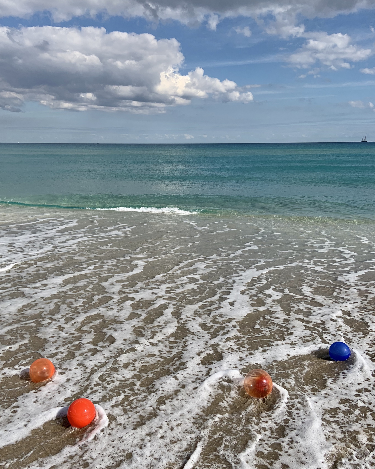 INNA BABAEVA — Essex Flowers