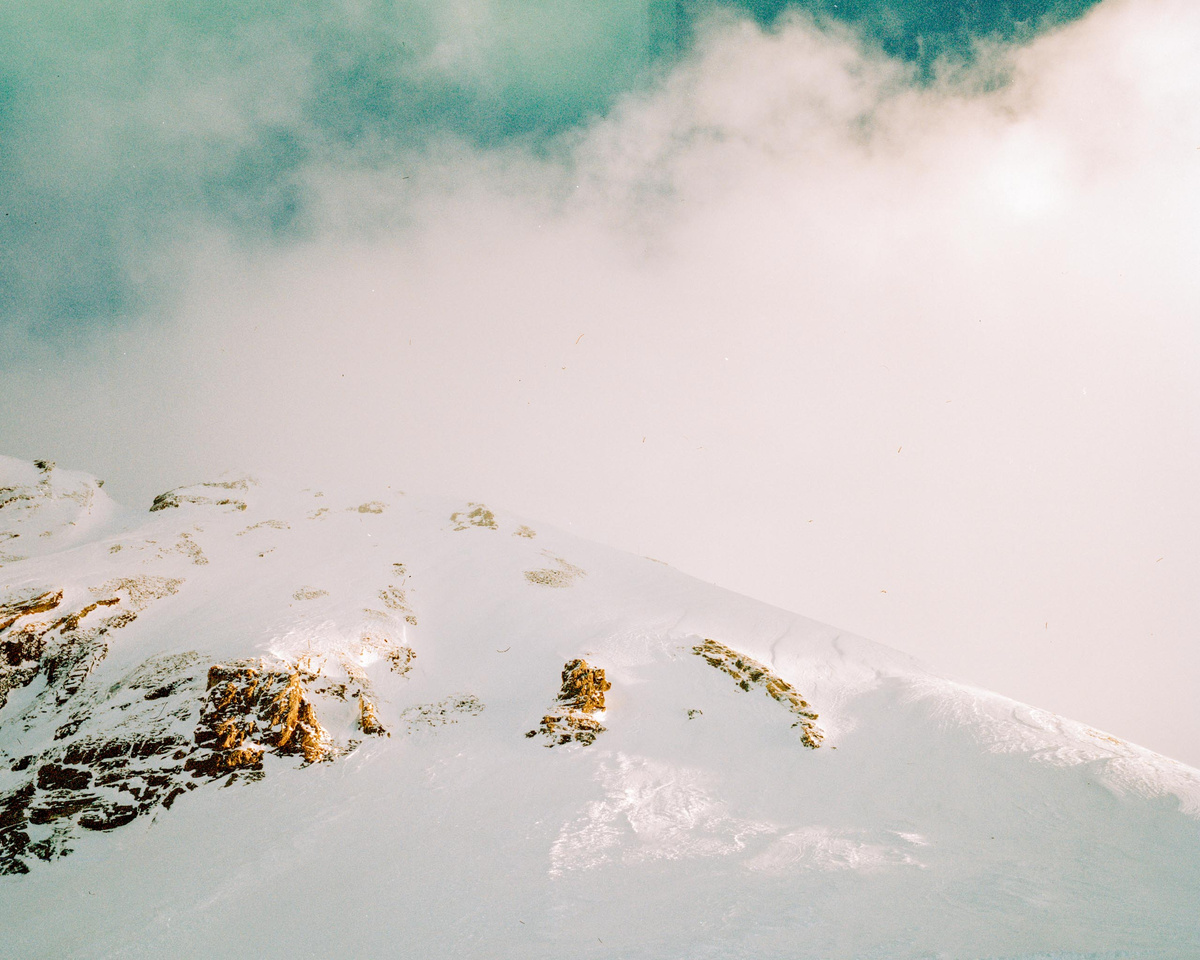 Prints — Freddie Reed