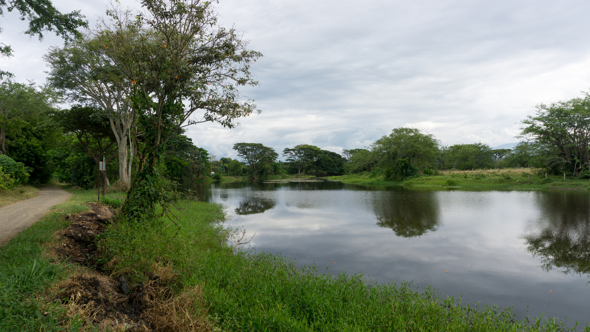 A River-centered Approach 2024 — Unruly Natures