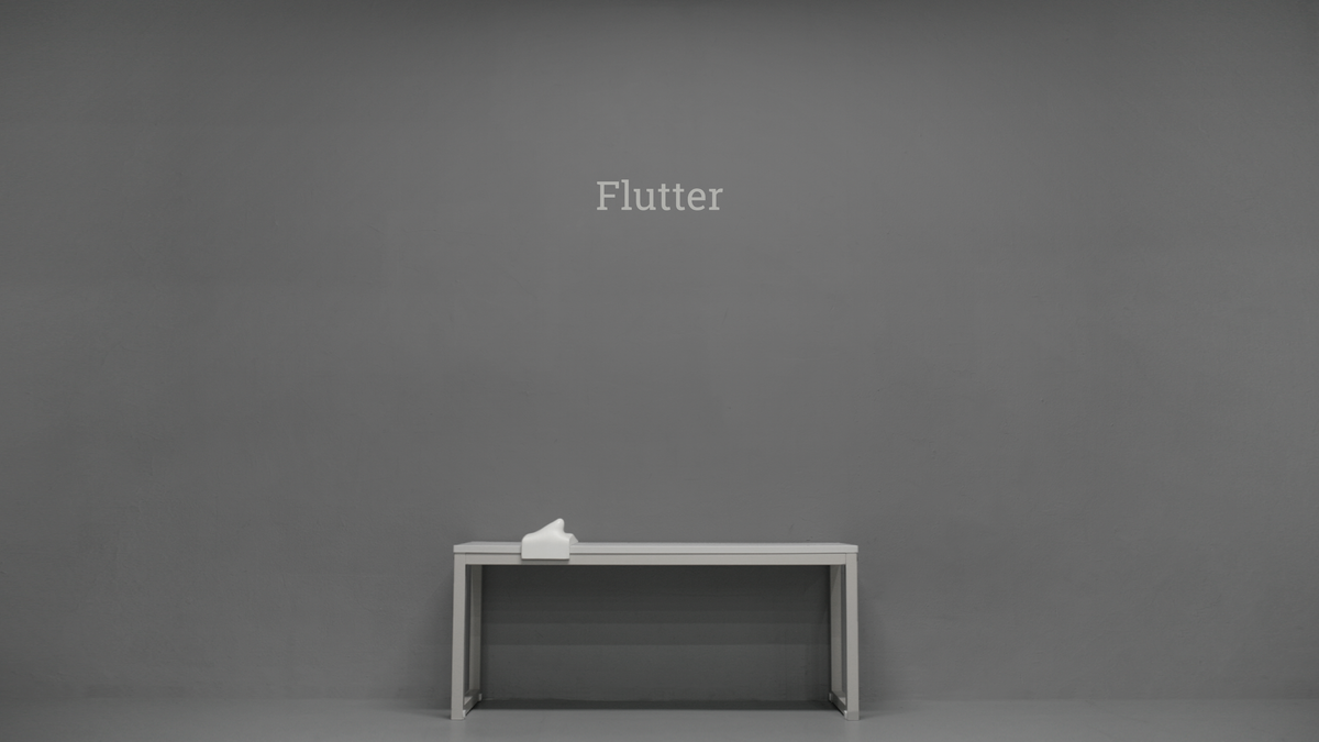 Flutter — Interaction Interface 