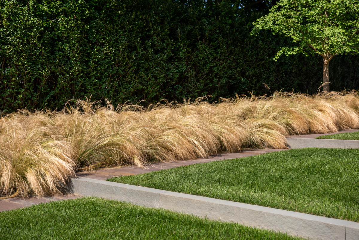 About — Ping Design