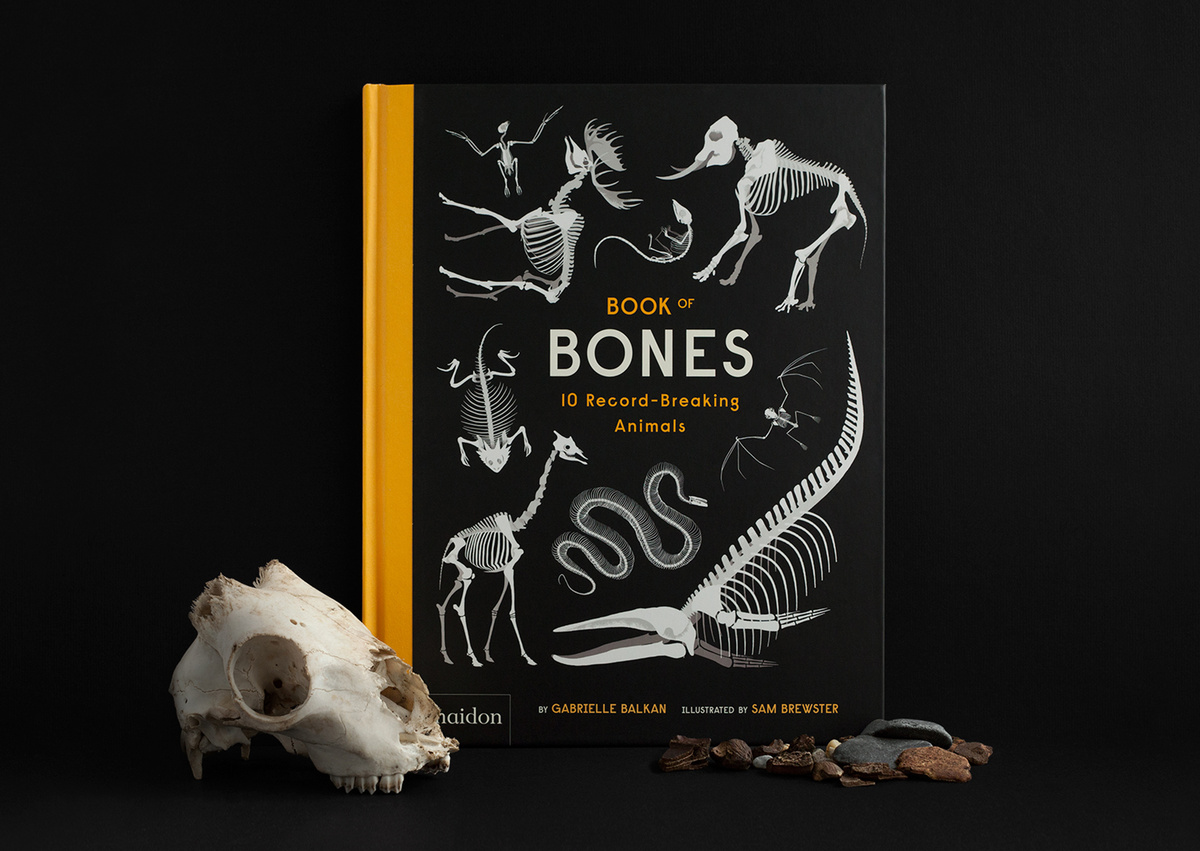 Book Of Bones — Sam Brewster