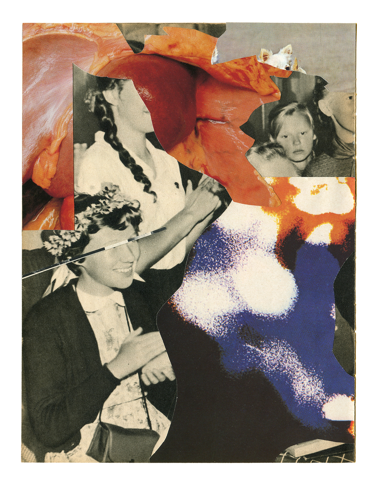Collages (selection) — barbara breitenfellner