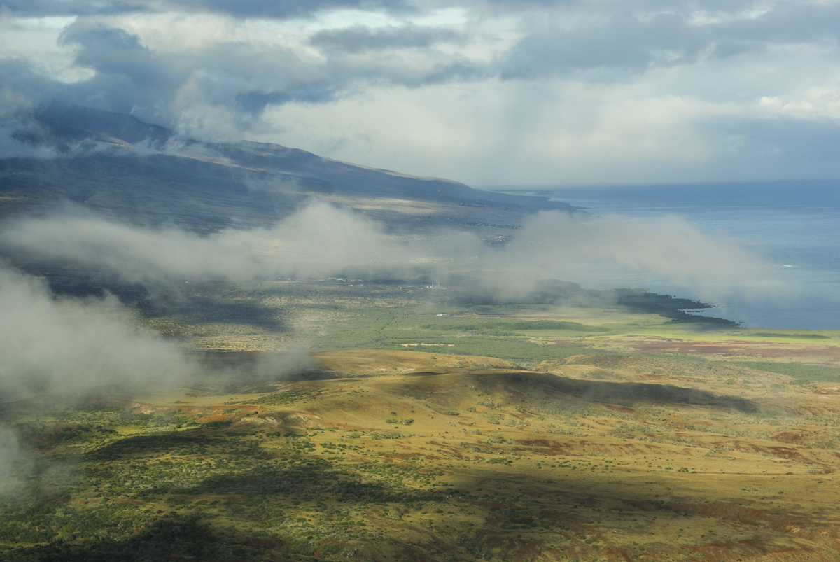 Hawaii — Vincent Meadows