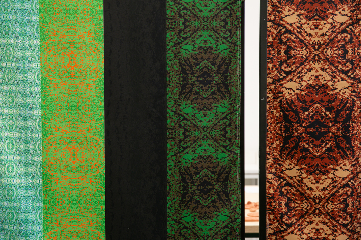 African sharptooth catfish — PADLab