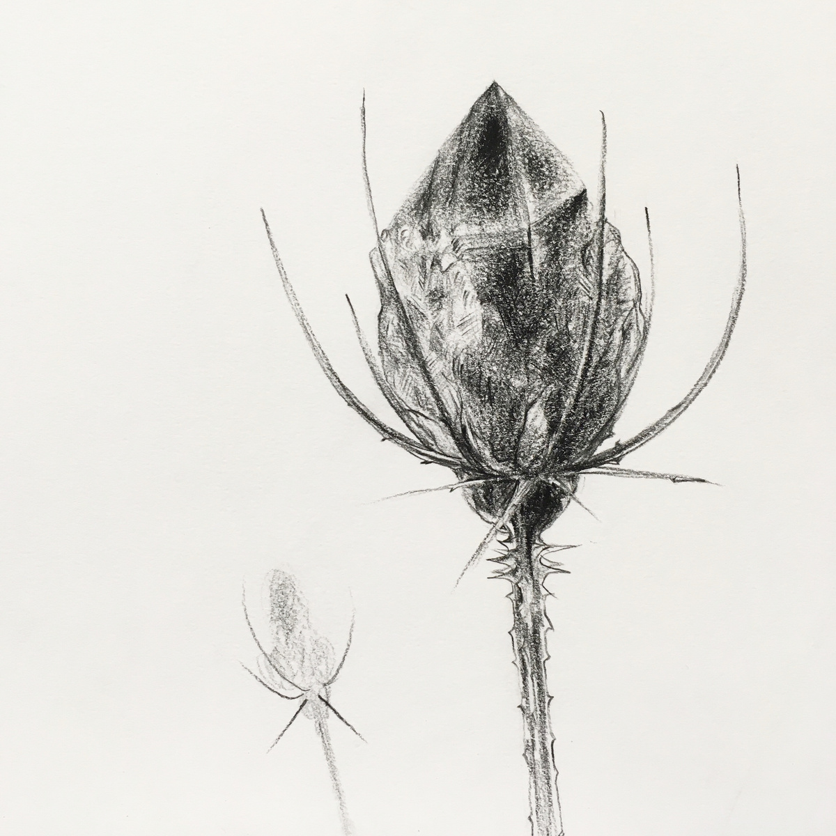 Gemstone and mineral studies — Susan Snipes - artist, designer, storyteller