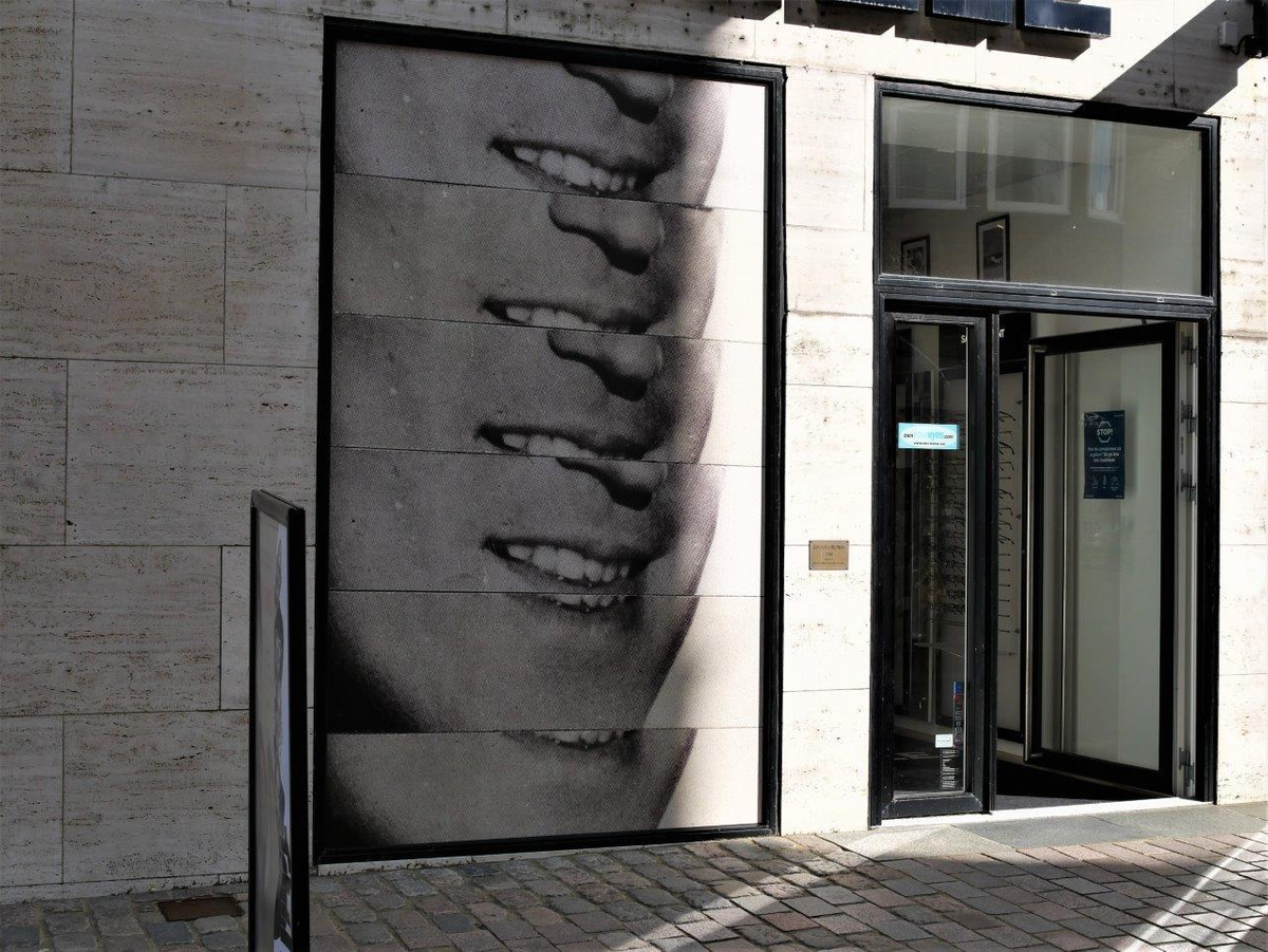 Window — James Springall