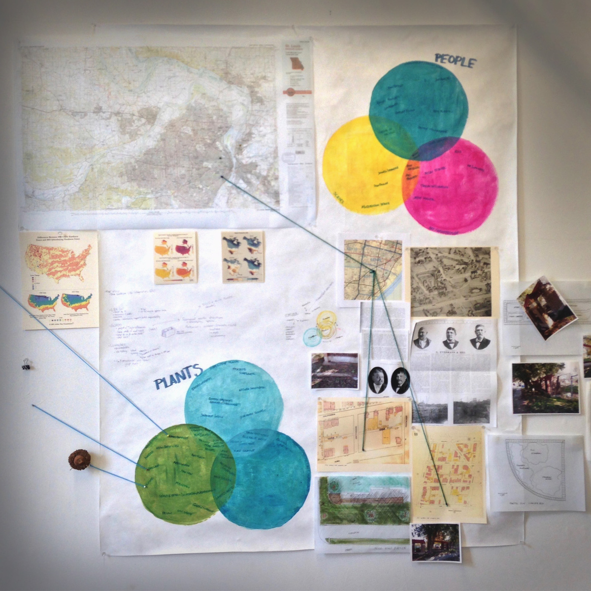 Gardens for the Apocalypse — Allana Ross