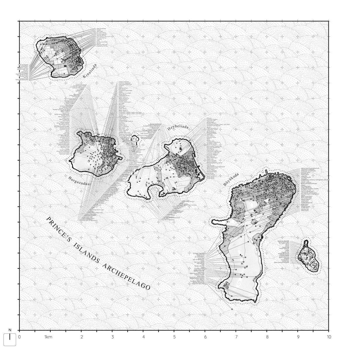 Critical Cartography