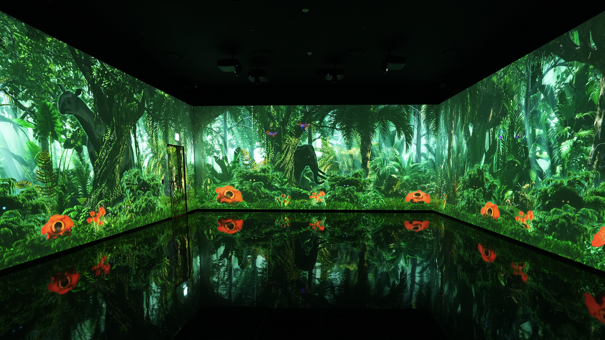 Discovery Naturescape — EASYWITH 55