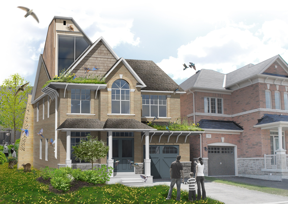 Synanthropic Suburbia — Sarah Gunawan