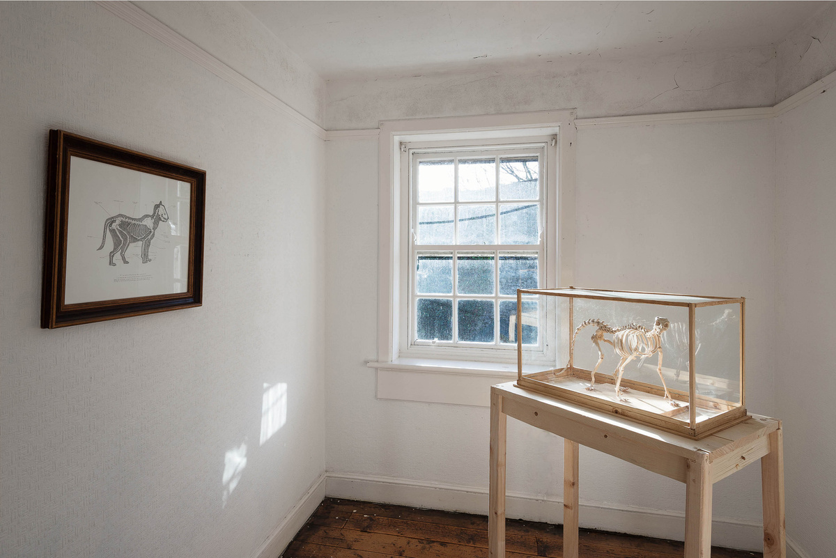 The Paradise of The Heart — peternash