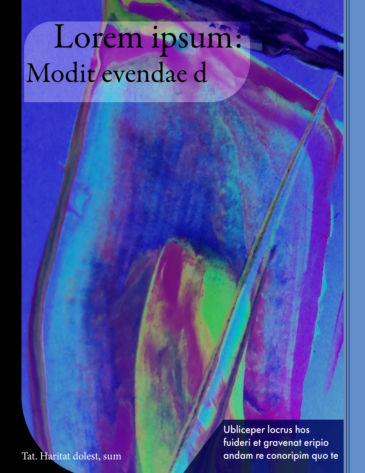 Spread Designs And Logos — Erlan