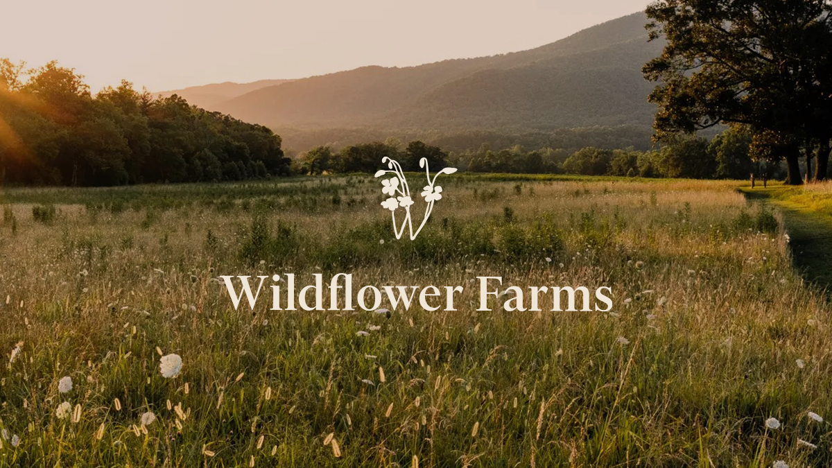 Wildflower Farms — Anna Sing Portfolio