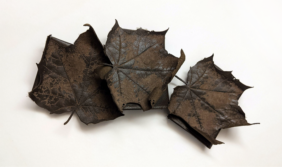 Leaf Wallet — Benjamin Garbus Portfolio