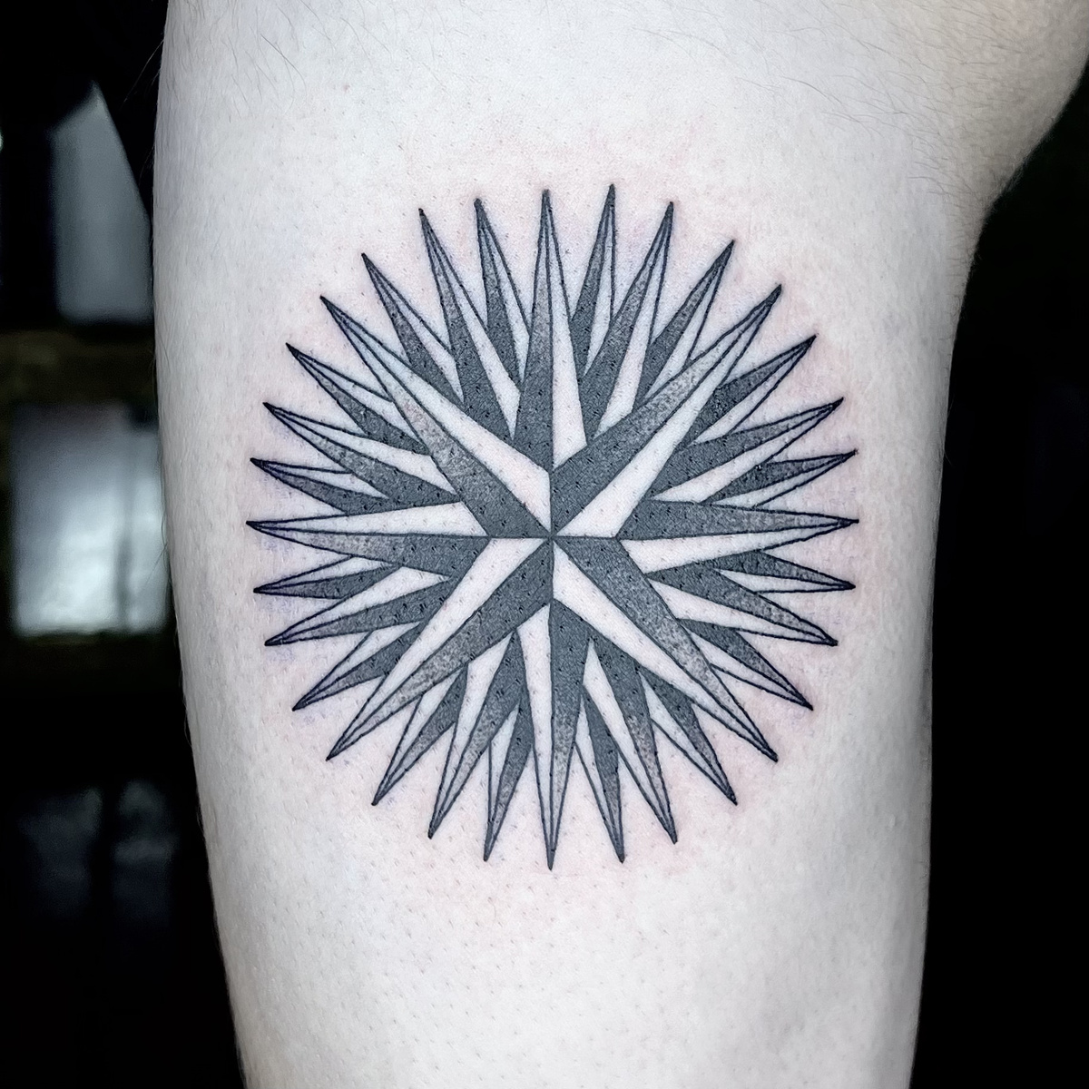 Tattoo Gallery — The Ink Theory