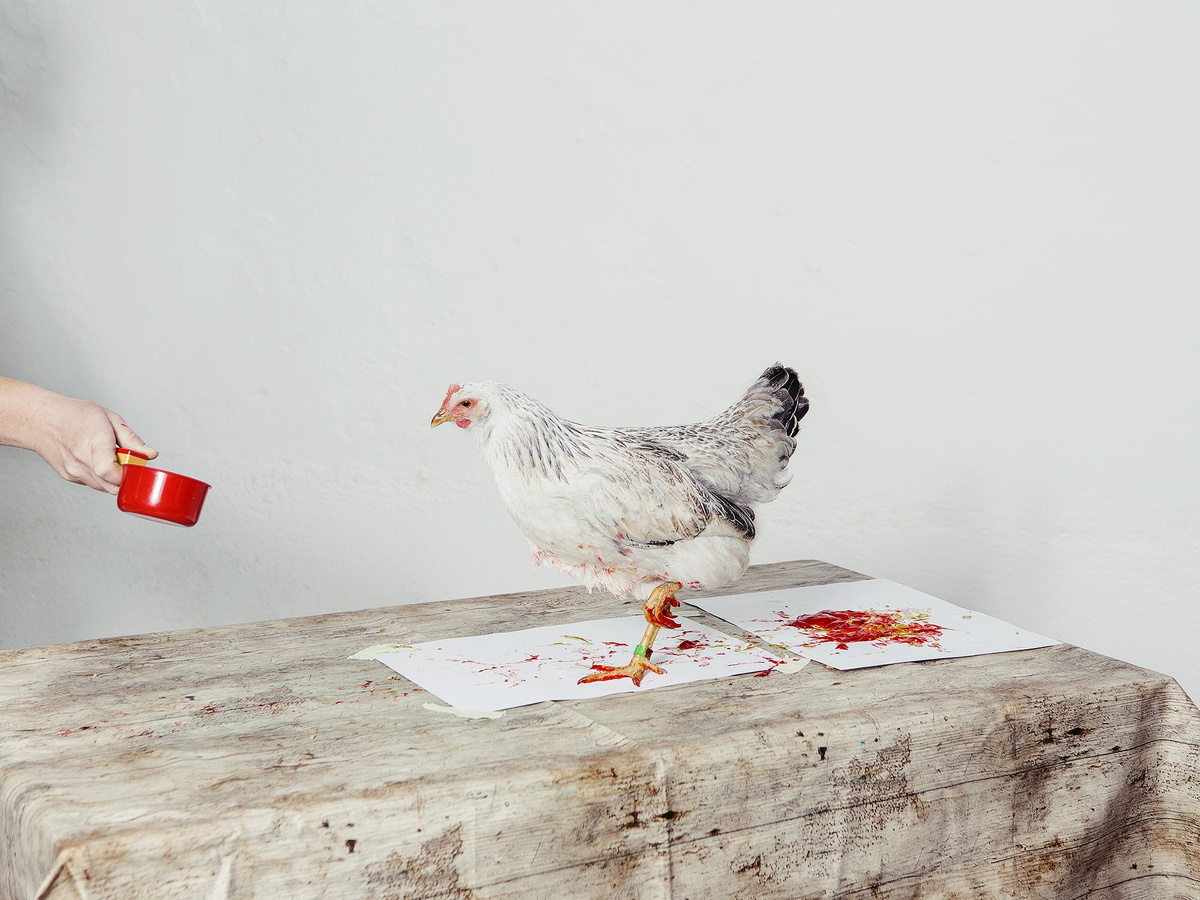 Happy Training — Janek Stroisch