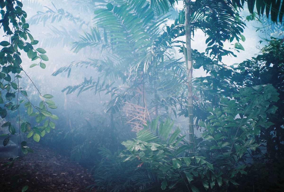 Lee Chang Ming — Lee Chang Ming - Artist & Photographer