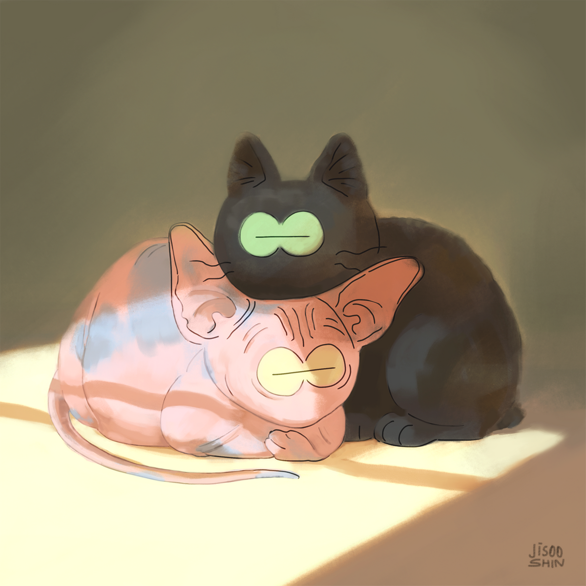 About — JISOO SHIN