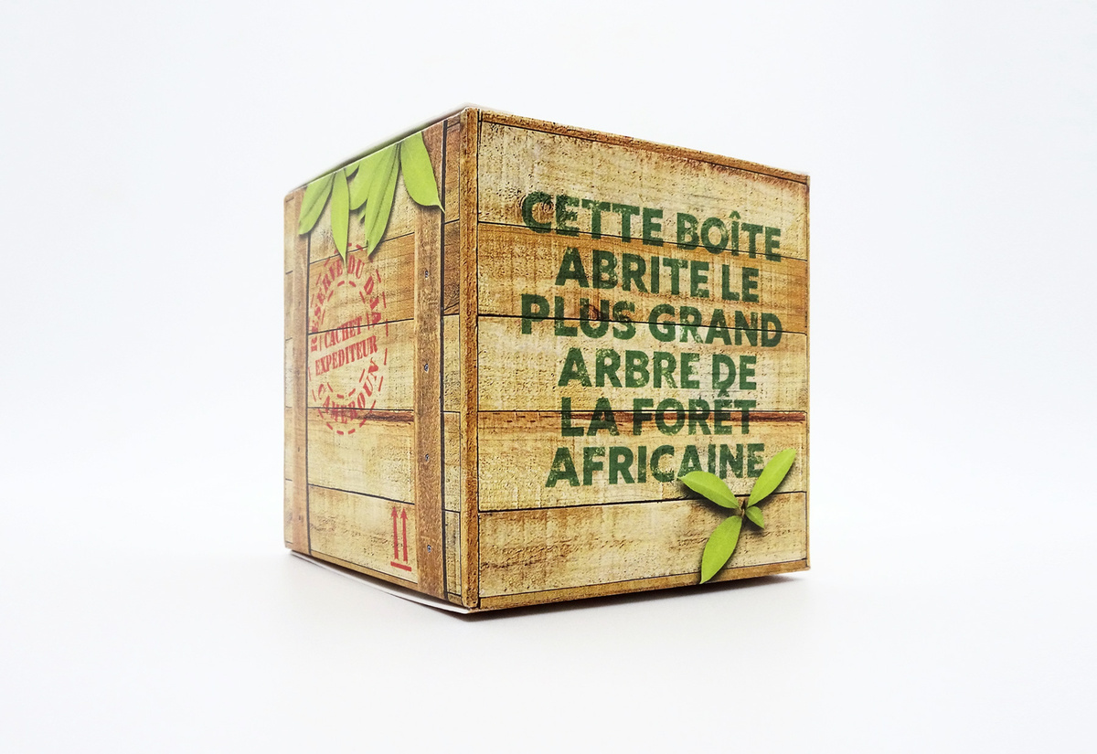 Noe — Deidamia Pelé - Designer graphique // Création graphique et ...