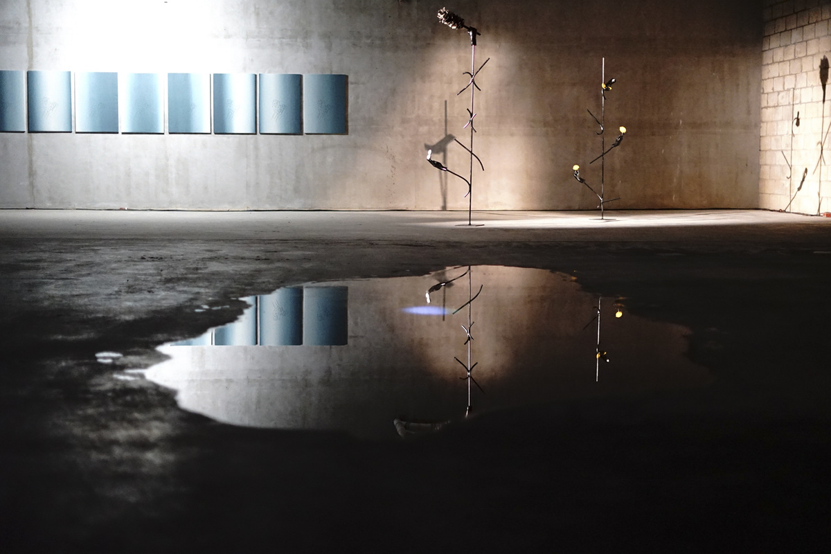 Linotipia BOOK — Ana Paula Santana