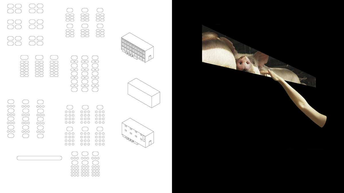 PAPER: Closure of Openings — Multispecies Studio
