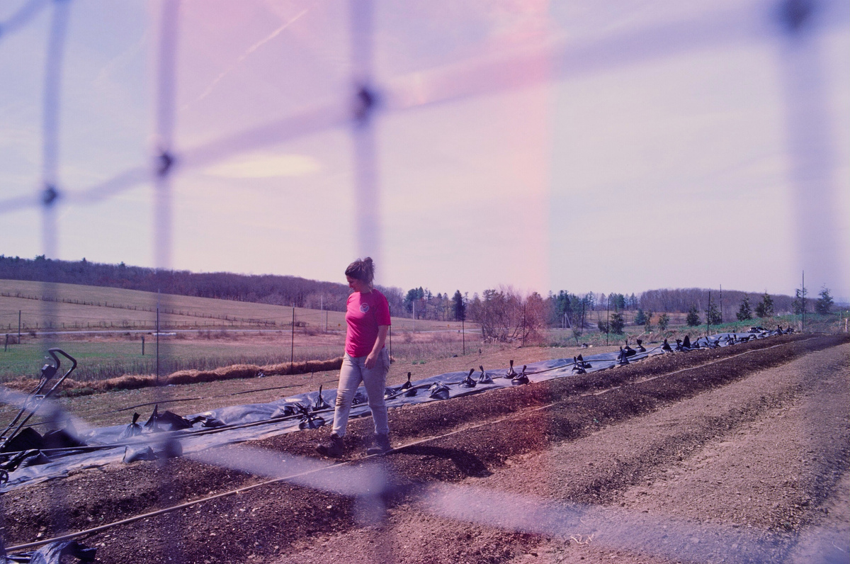 ABOUT — Thistle Pass Farm