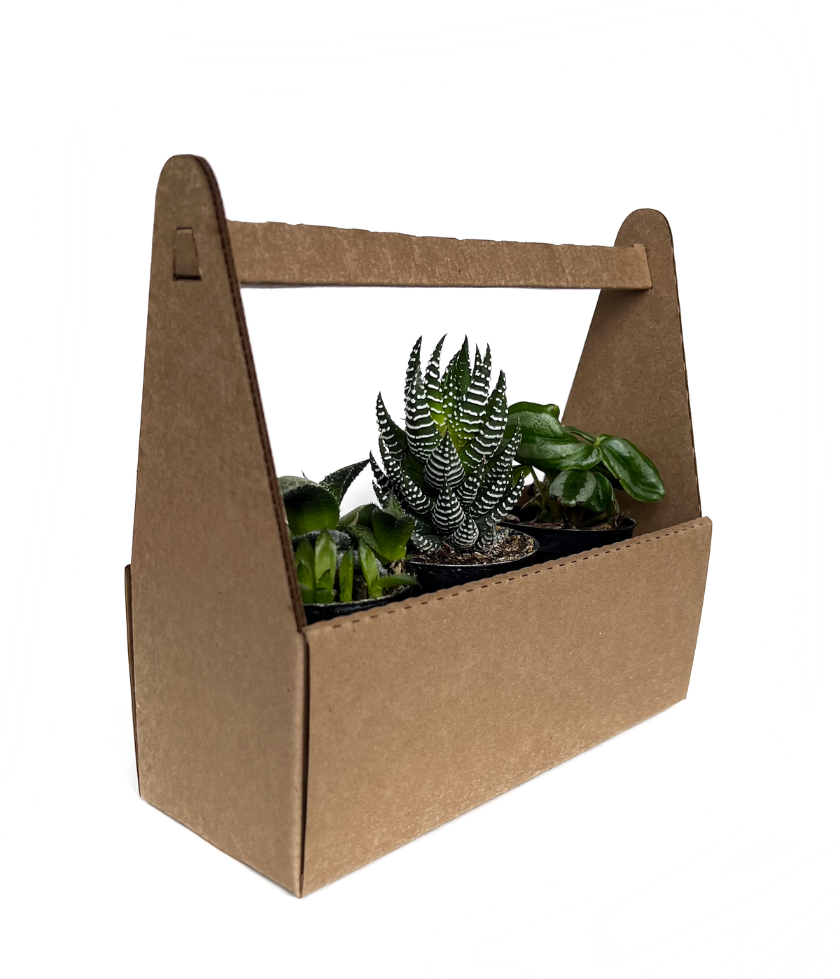 Plant Toolbox - packaging — Iris Eden Sizemore