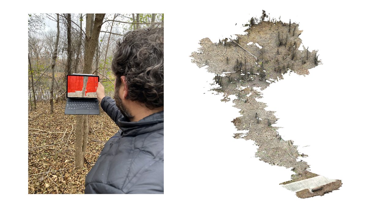 MSDMT_Newell+Wilcox_Damarnian — tcshow2023