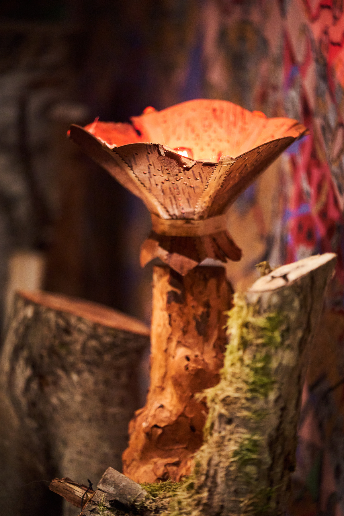 Forest madness / Skogstokig — MYCKET