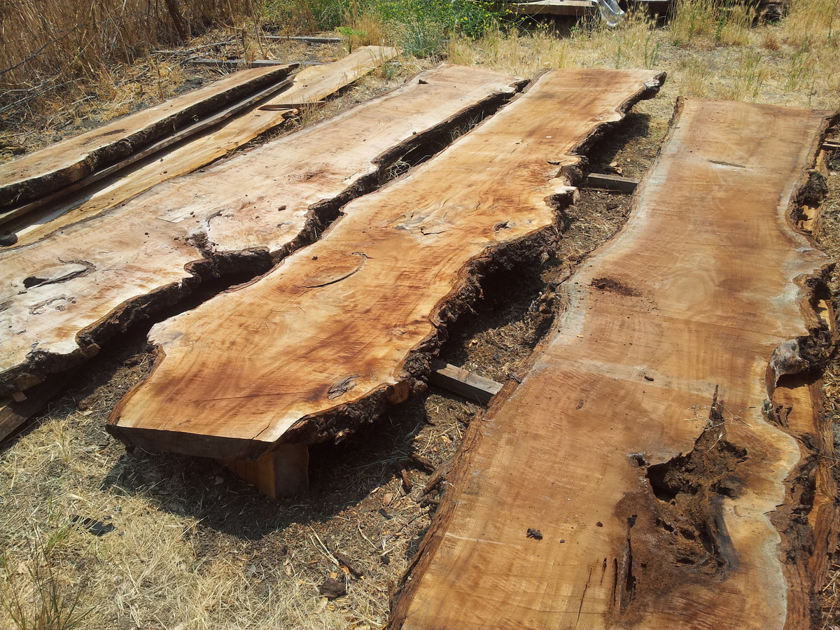 Live Edges — TREELINE® | Made in Los Angeles