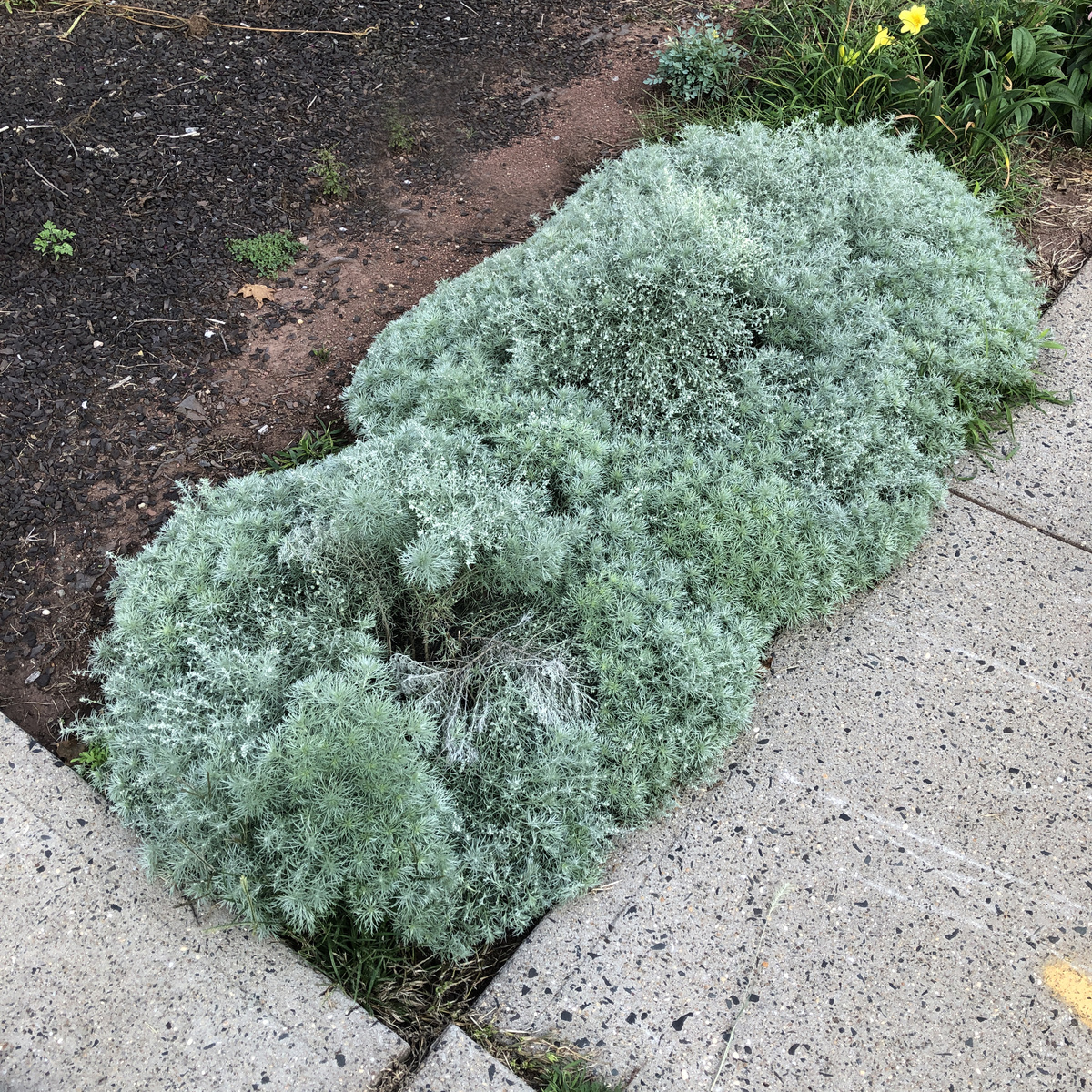 Nirgendwohin, Bokyoung Han, 2023 — berlinphotobookdistribution