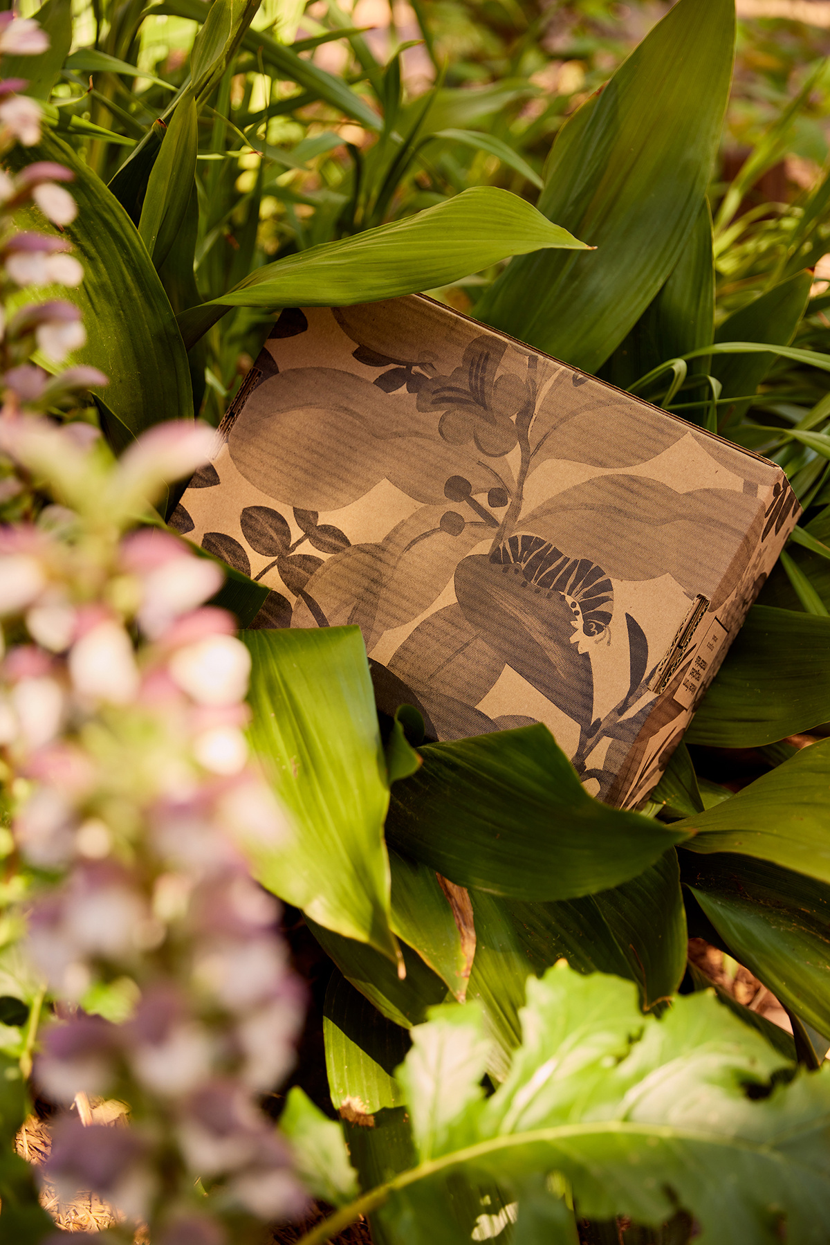 Unbox Canva — Michael Webster