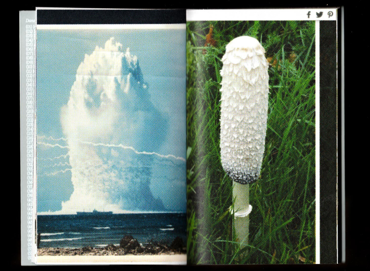 Pyrocumulus — Margot Millet