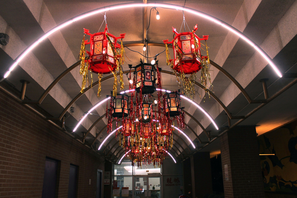 Yue Moon: Tiger With Wings — paddyleung.com