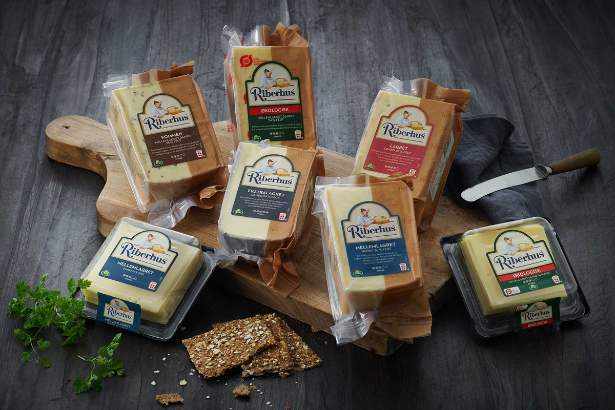 Riberhus — Portfolio