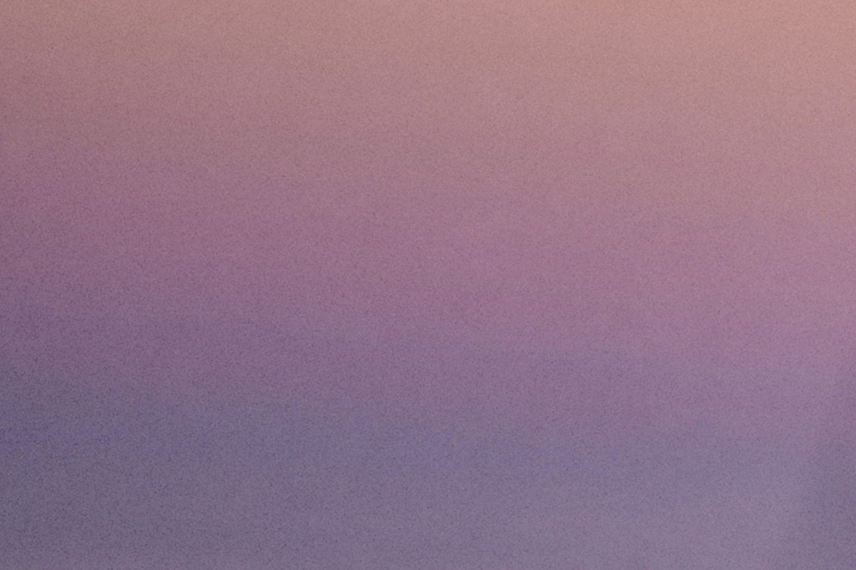 About — Francesca Matta