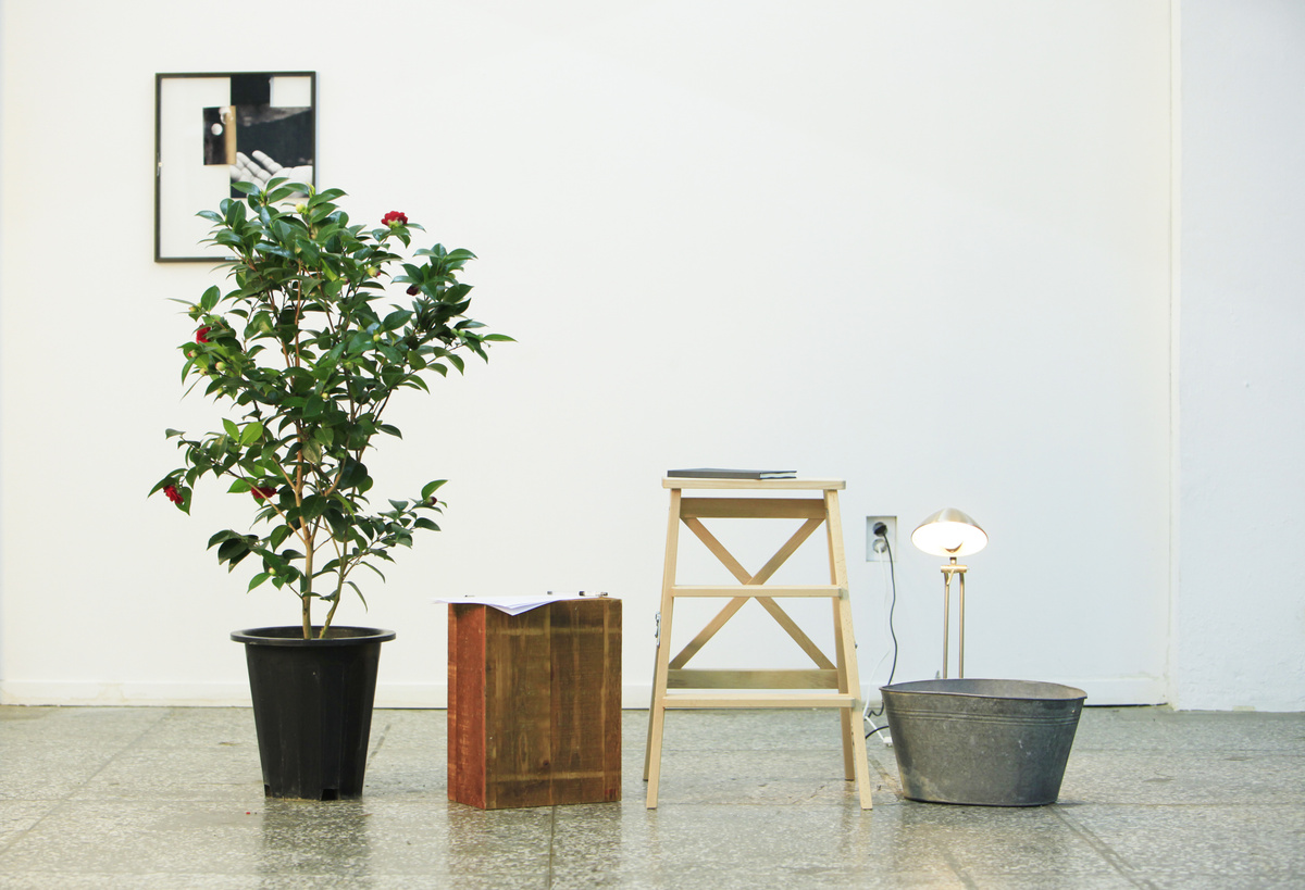 Reading II — JUNG Su