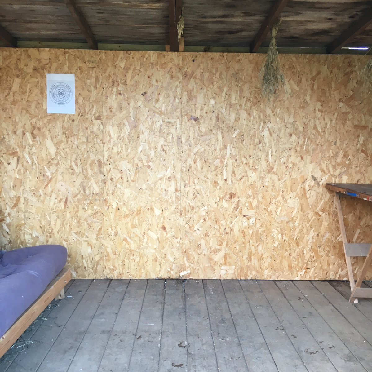 Residency in a Shed — georgia gendall