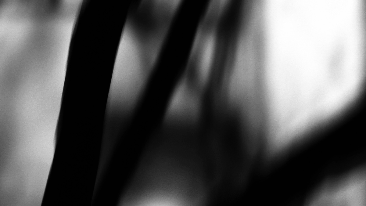 SCAPE (2007) — Kurt Hentschlager