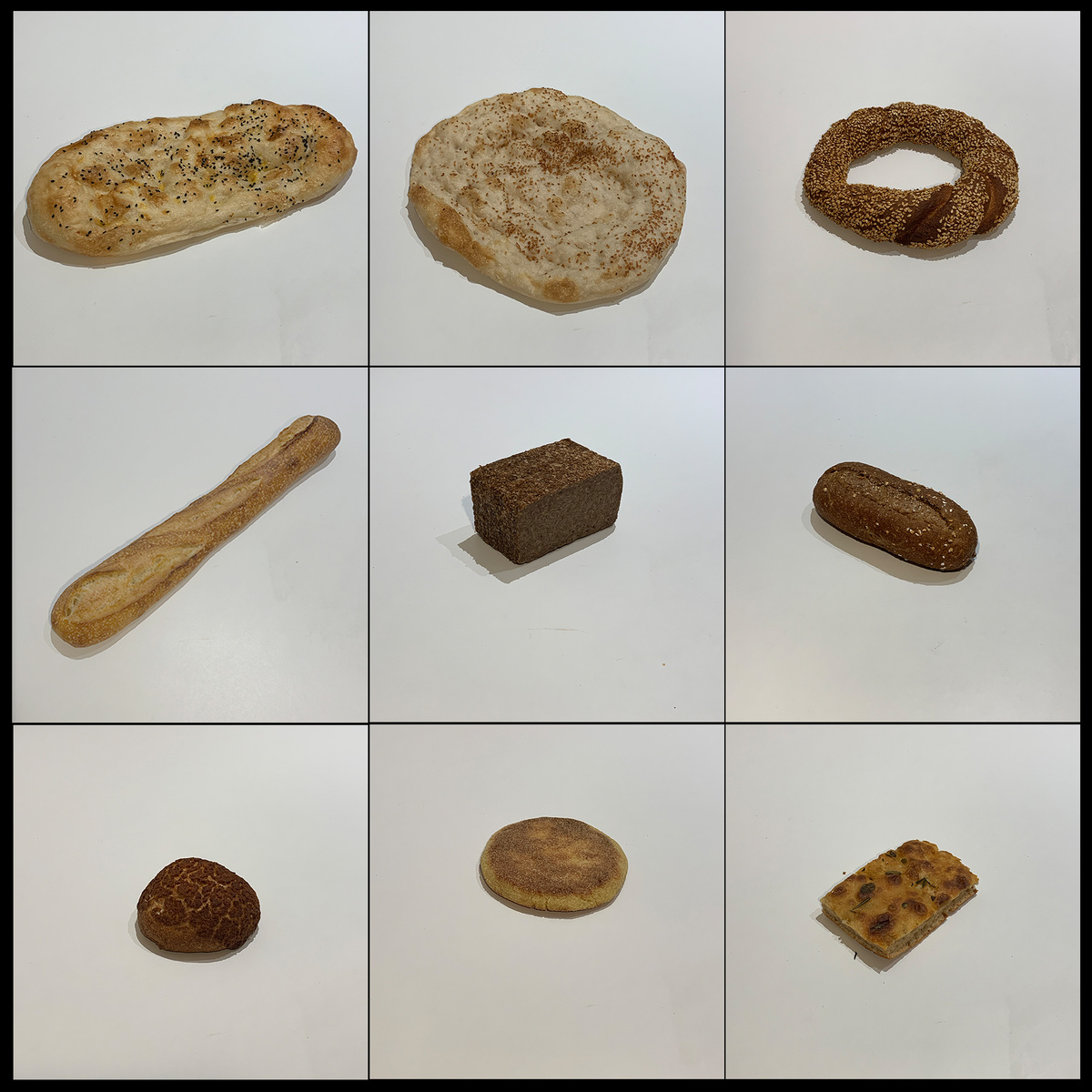 Field Guide Submissions — Bread on Earth