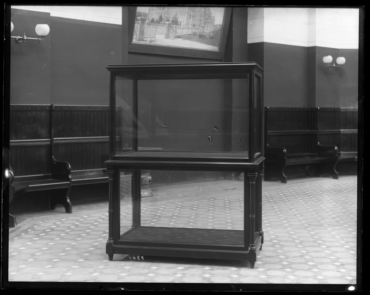 Empty Exhibit Cases — Susana Pomba