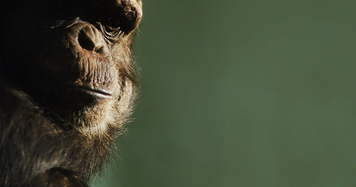 Thomas McGoran — marissa keating