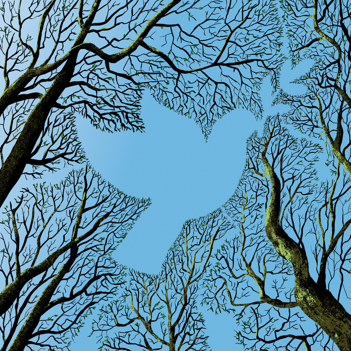 Spring Peace — tomjay.com